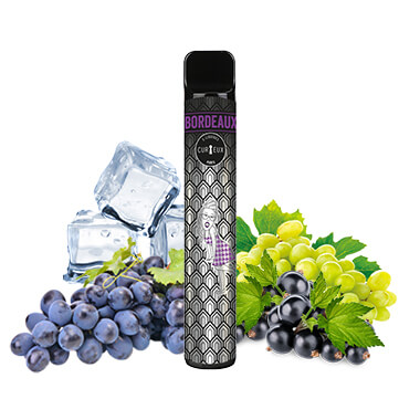 Puff Bordeaux - Curieux